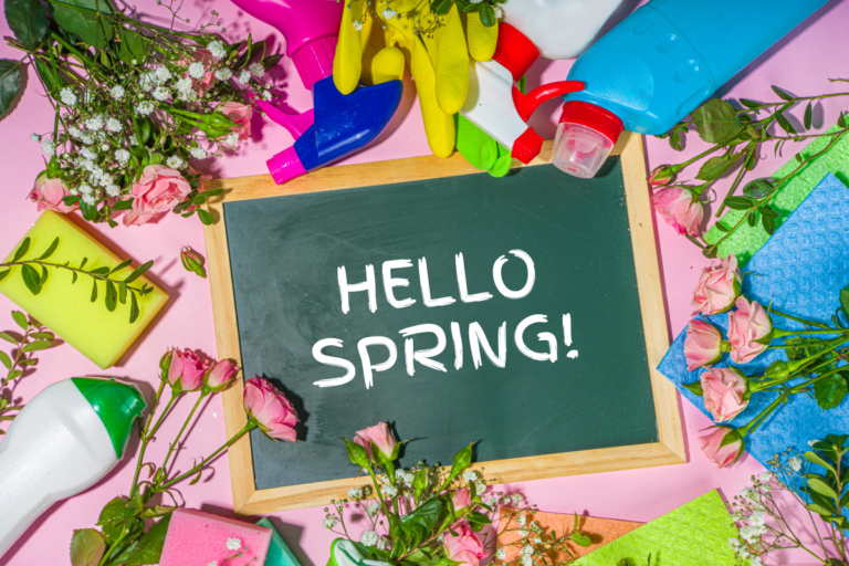 The Best Spring Cleaning Products to Make Your Home Shine • Everyday ...