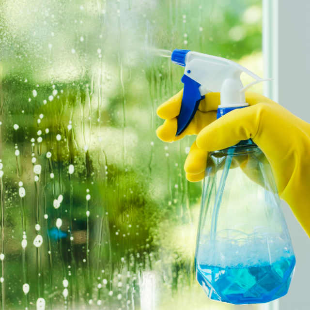 Absolutely the Best Window Cleaning Tips Ever Everyday Cheapskate