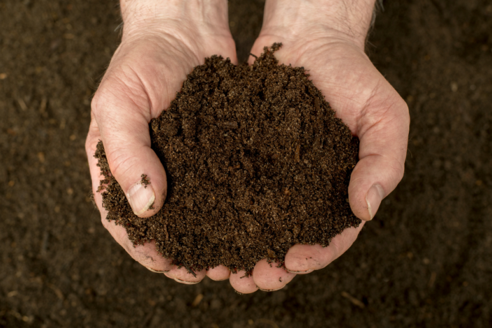 DIY Dirt? How to Make Compost in Your Own Backyard • Everyday Cheapskate