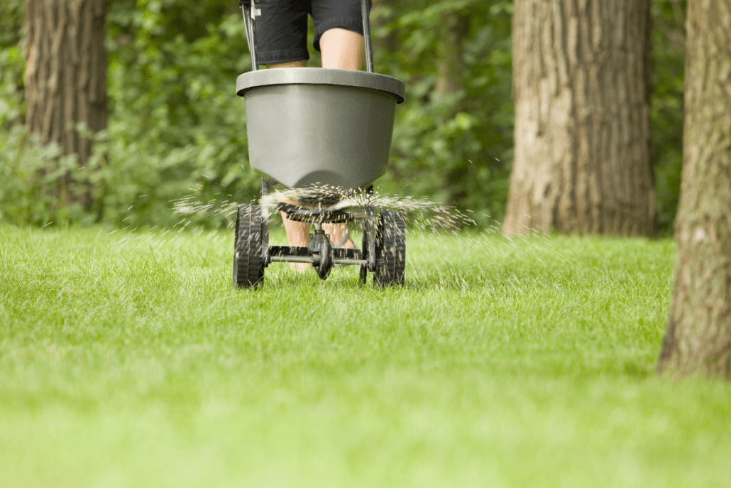4 Homemade Lawn Fertilizer Recipes That Really Work • Everyday Cheapskate