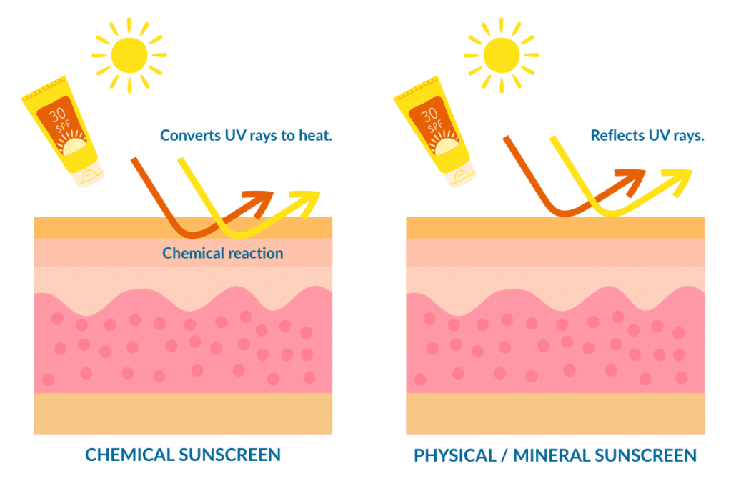 What Sunscreen Is Best? Budget-Friendly Picks That Work • Everyday ...