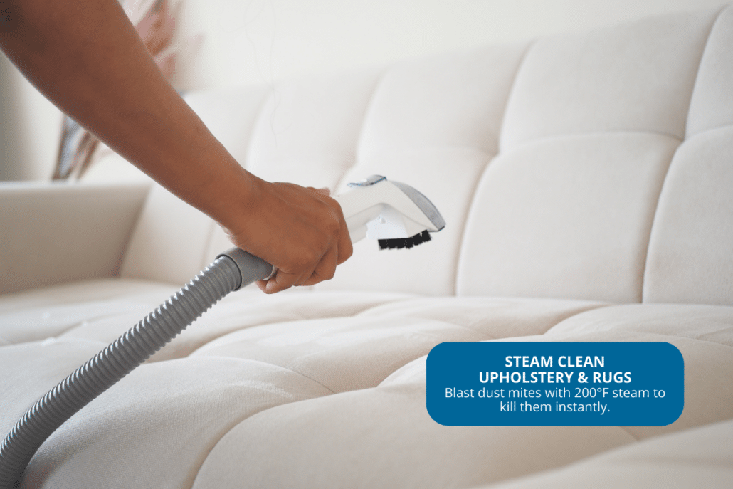 How to Get Rid of Dust Mites and Breathe Cleaner Air • Everyday Cheapskate