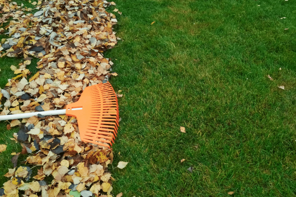How to Rake Leaves Without Breaking the Bank (or Your Back) • Everyday ...