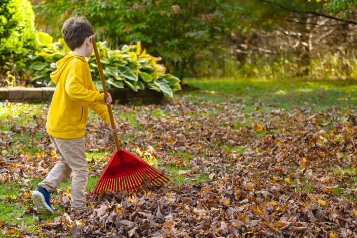 How to Rake Leaves Without Breaking the Bank (or Your Back) • Everyday ...