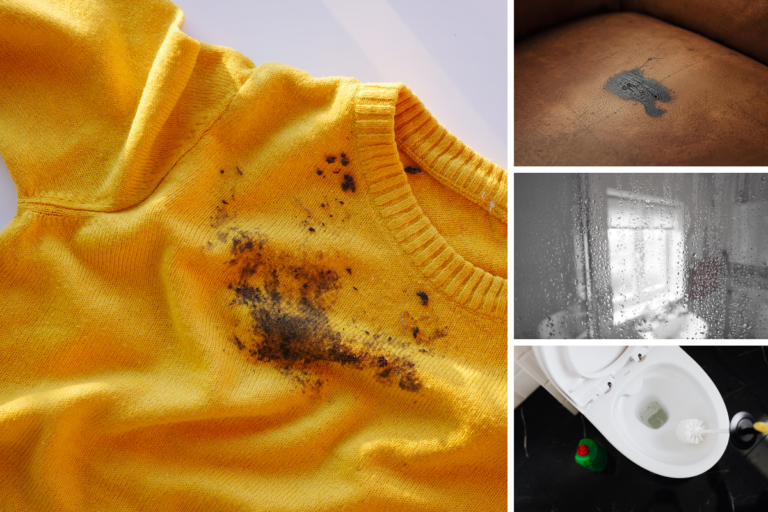 Stain Removal 101: The Ultimate Guide to Conquering Any Stain ...