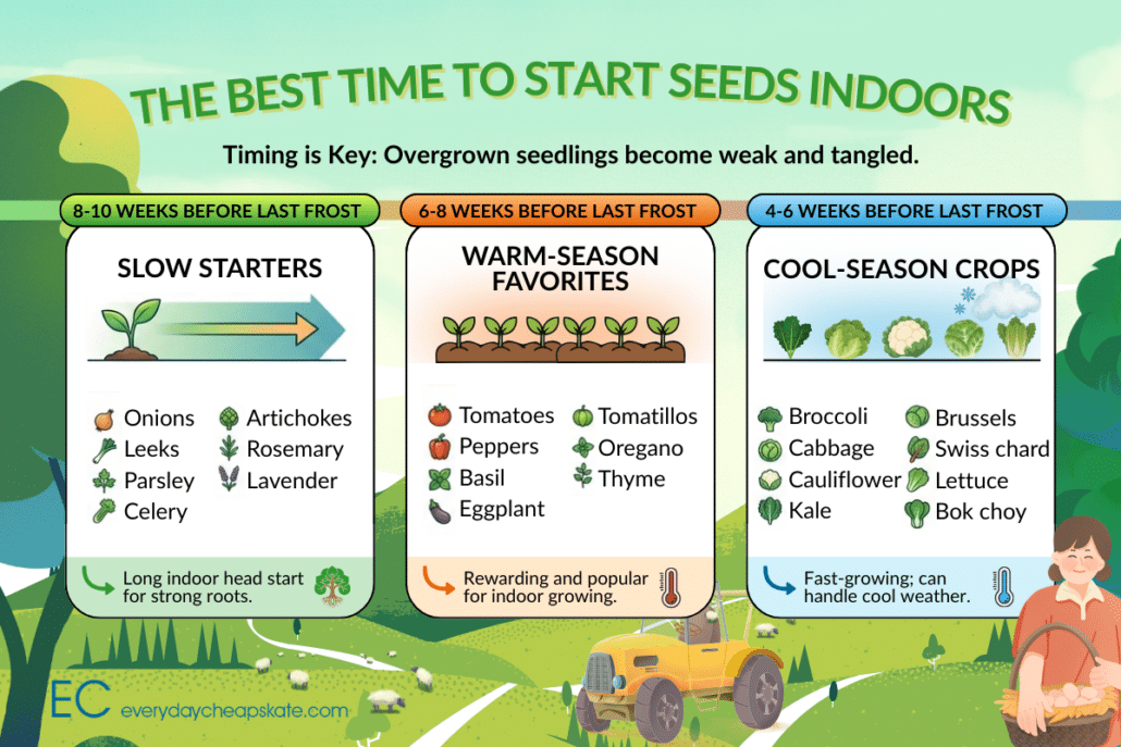 How to Start Seedlings Indoors (And Move Them Outside) • Everyday ...