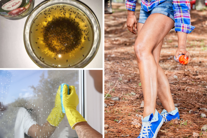 34 Fourth of July Recipes and DIY Hacks for a Stress-Free Holiday ...