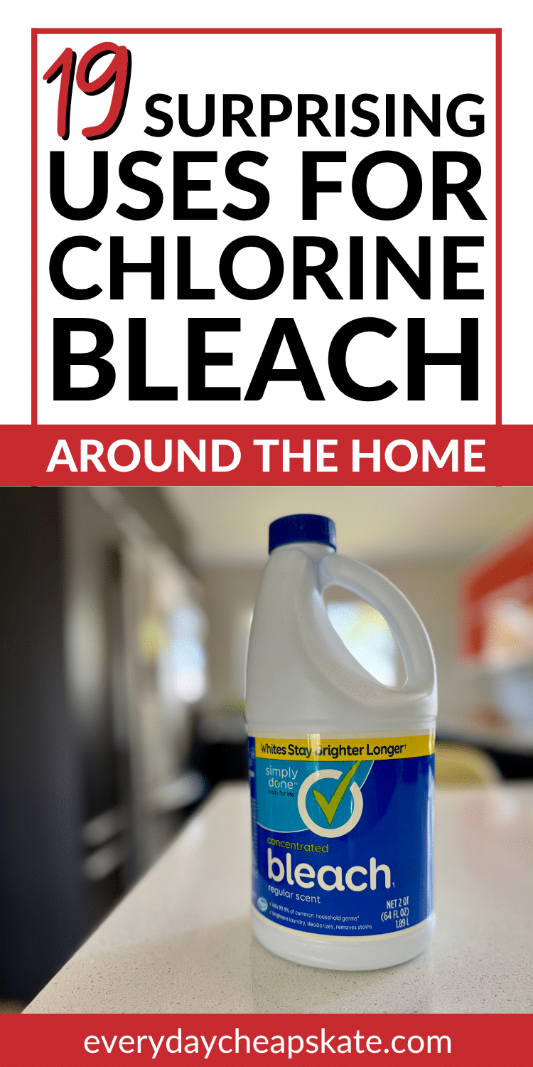 19 Surprising Uses for Chlorine Bleach Around the Home • Everyday ...