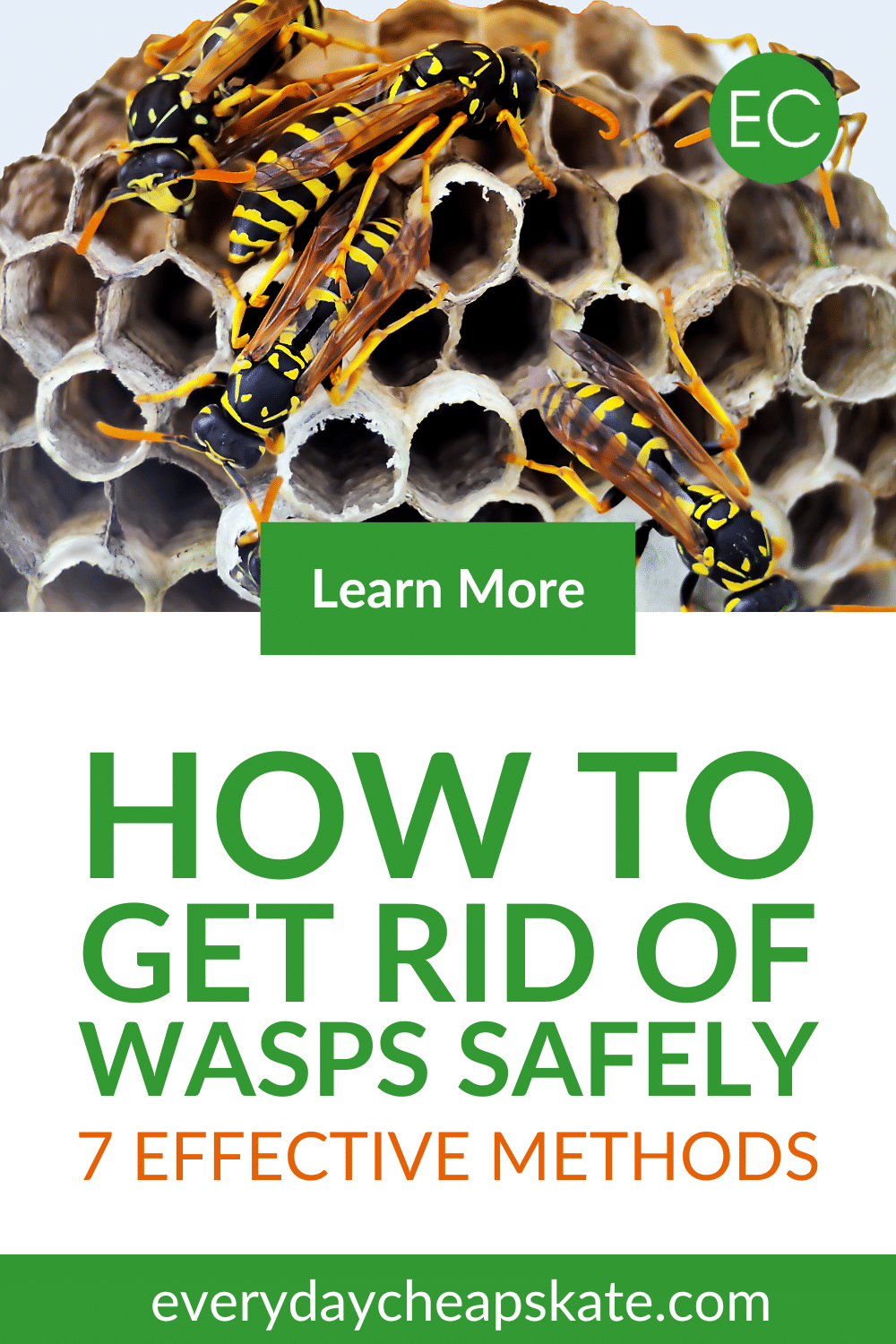 How to Get Rid of Wasps Safely: 7 Effective Methods to Try • Everyday ...