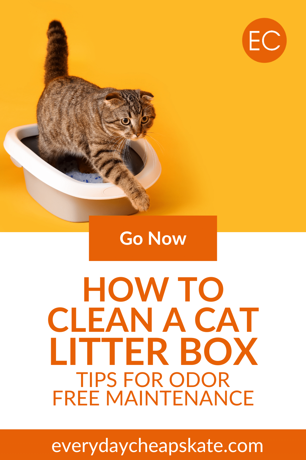 How to Clean a Cat Litter Box: Tips for Odor-Free Maintenance ...