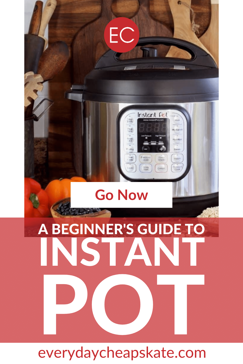 A Beginner's Guide to Instant Pot: Tips & Must-Have Recipes • Everyday ...
