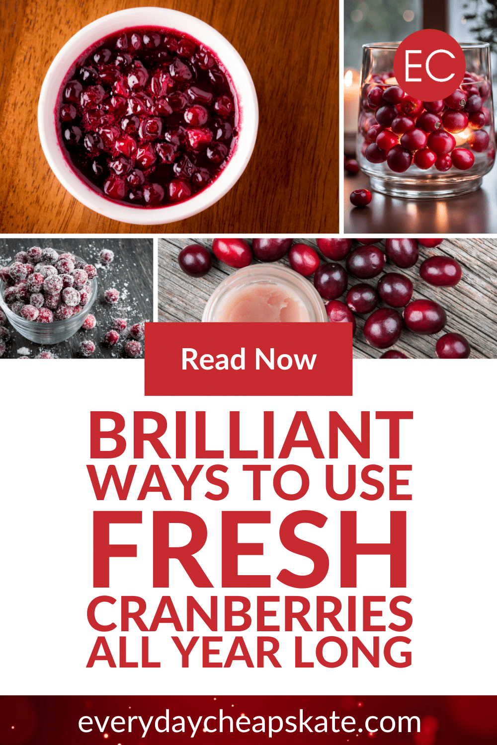 7 Brilliant Ways to Use Fresh Cranberries All Year Long • Everyday ...