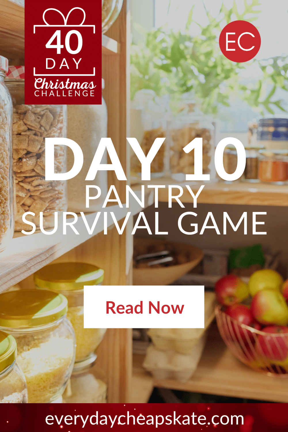 40-Day Christmas Challenge | Day 10 • Pantry Survival Game • Everyday ...