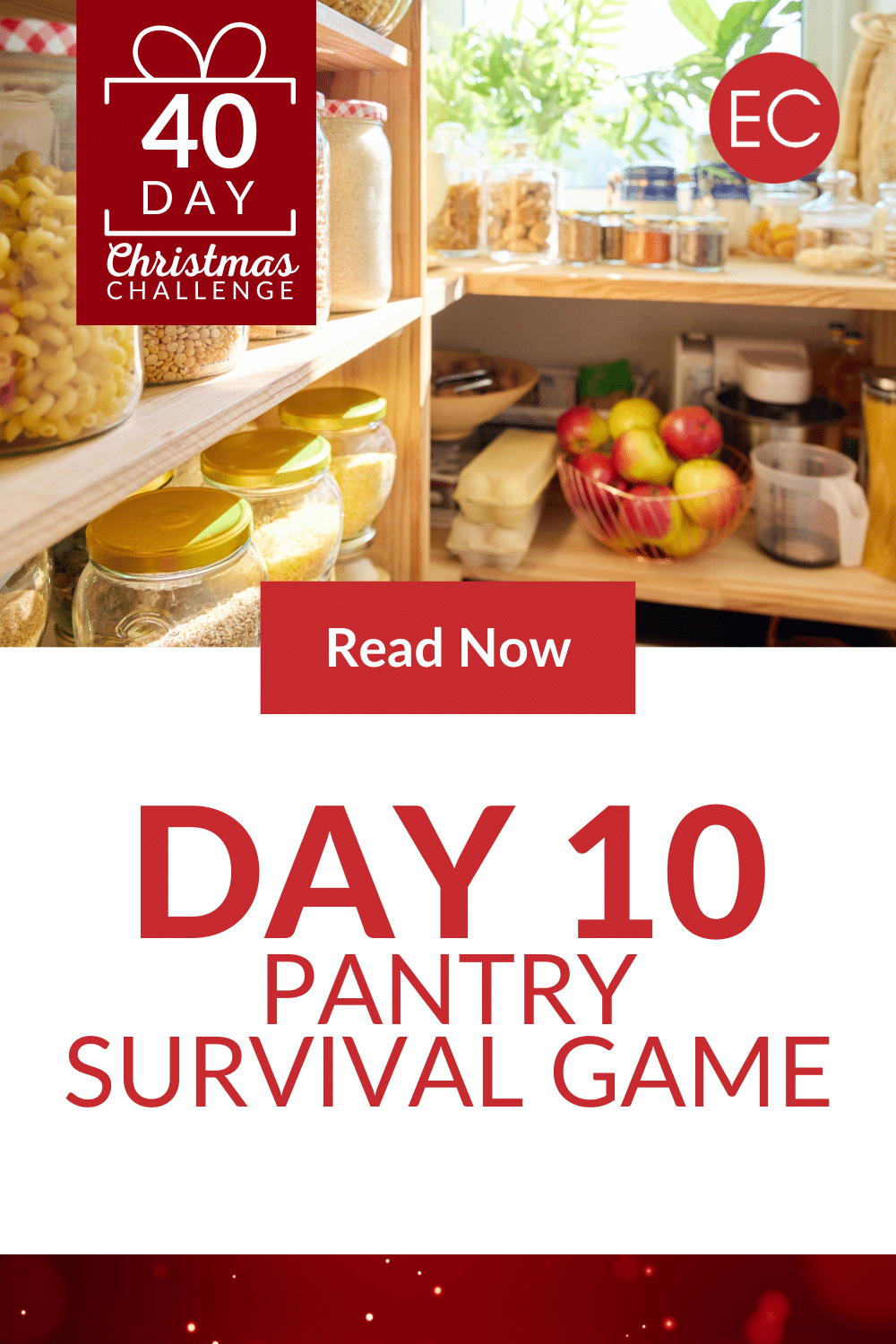 40-Day Christmas Challenge | Day 10 • Pantry Survival Game • Everyday ...