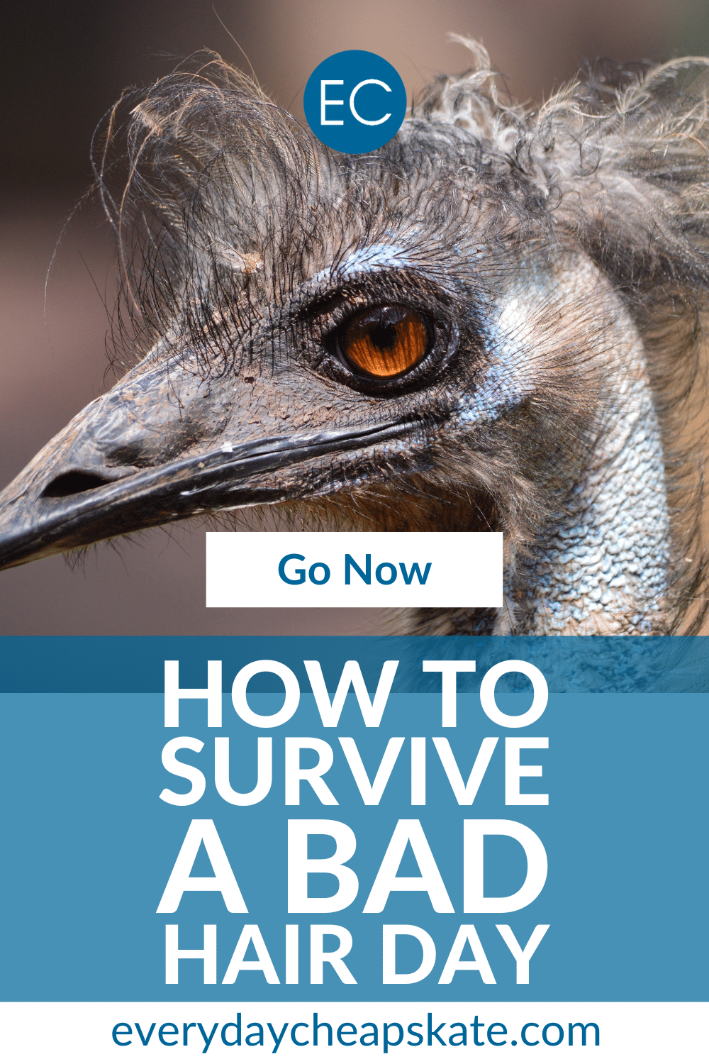 How to Survive a Bad Hair Day • Everyday Cheapskate