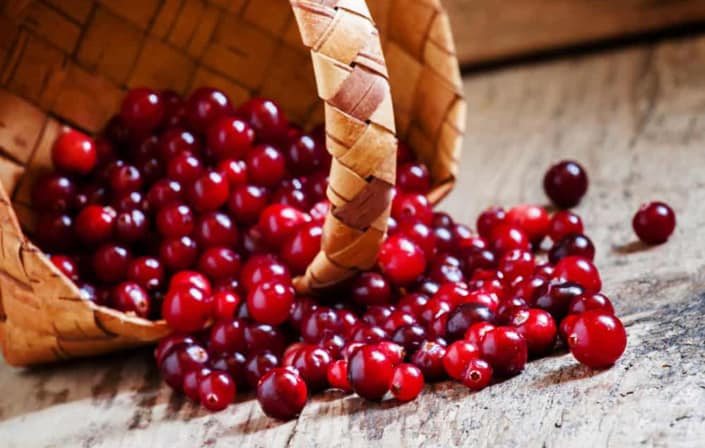9 Fabulous Ways to Use Fresh Cranberries Starting Now and Throughout ...