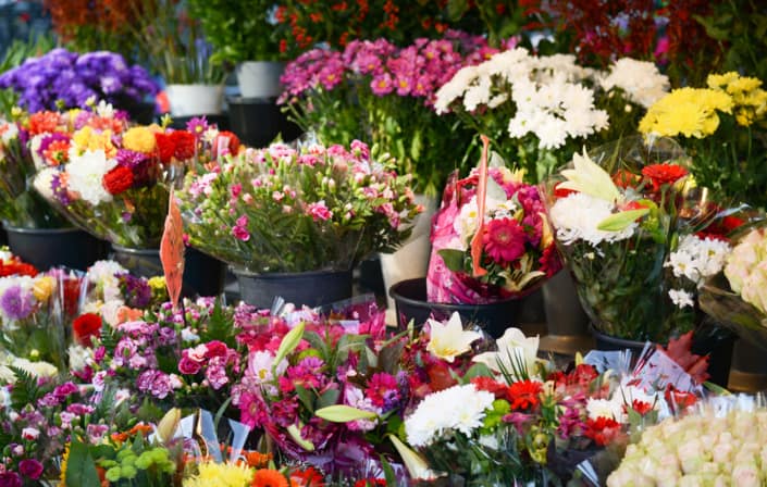 How to Make Cut Flowers Last Longer • Everyday Cheapskate