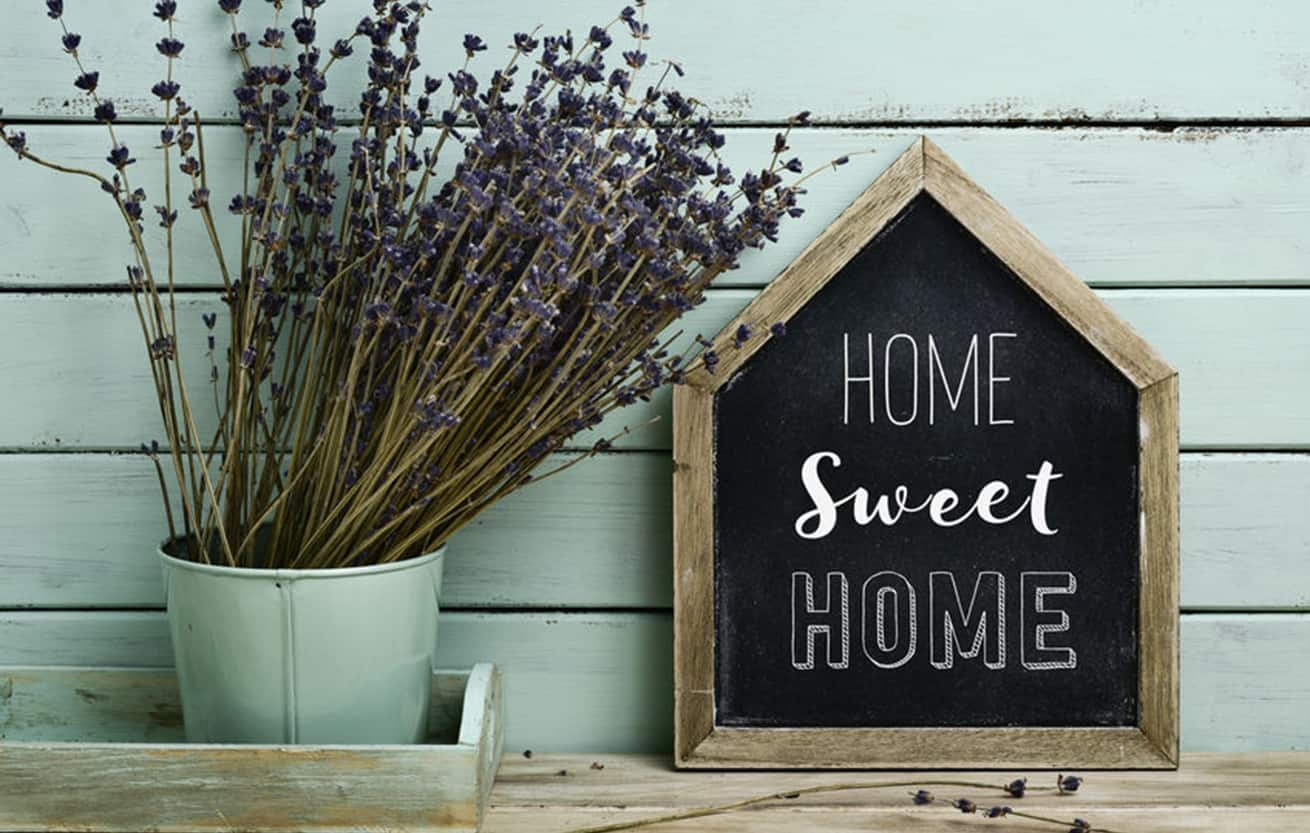 These 7 Plants Are Natural Repellents Keep Fruit Flies Out of Your Home ...