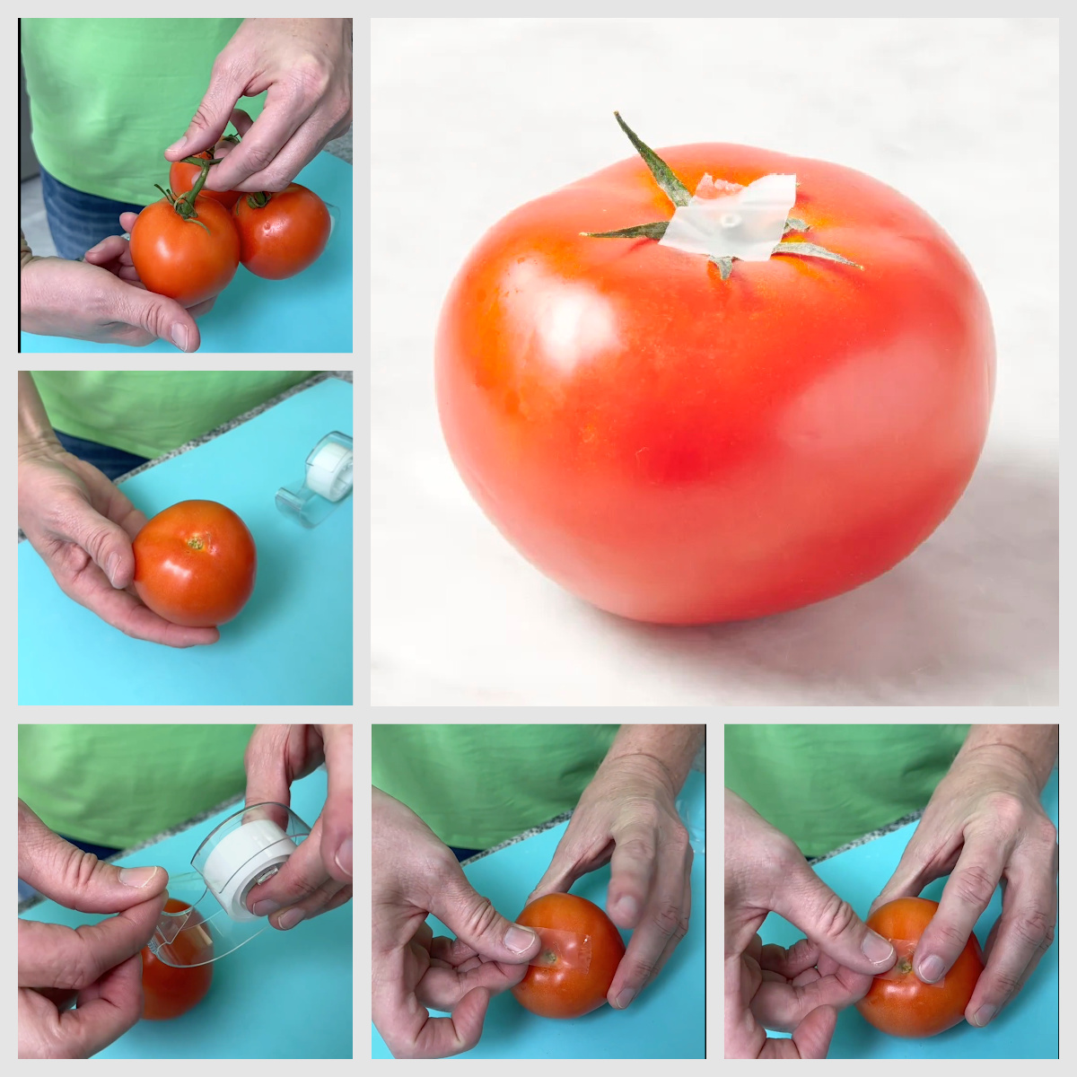 How to Store Tomatoes Perfectly Fresh for 10-Days or Longer • Everyday ...